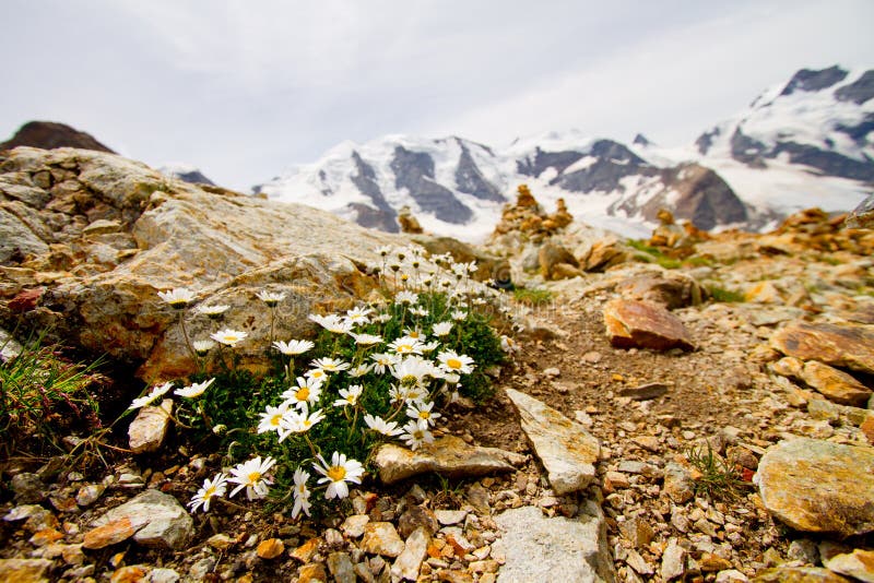 Diavolezza, Morteratash, Switzerland Stock Image - Image of mountain ...