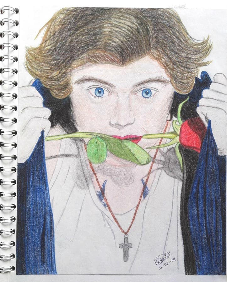 Dibujo De Harry Styles Con Una Rosa Stock de ilustración - Ilustración ...