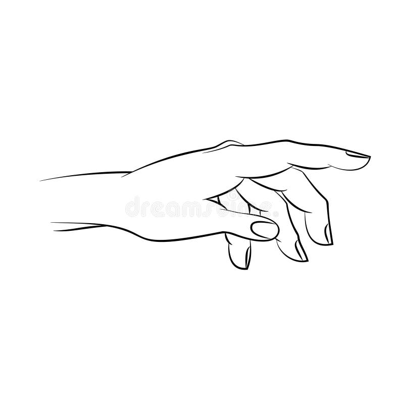 Dibujo Vectorial De Contorno De Mano De Mujer Ilustración Del Vector