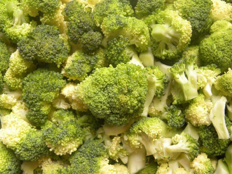 Diced cut Broccoli stock photo. Image of chop, food - 187476528