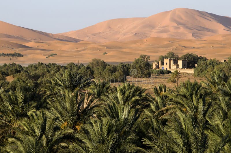 Oase, De Woestijn Van De Sahara Stock Afbeelding - Image of buiten ...