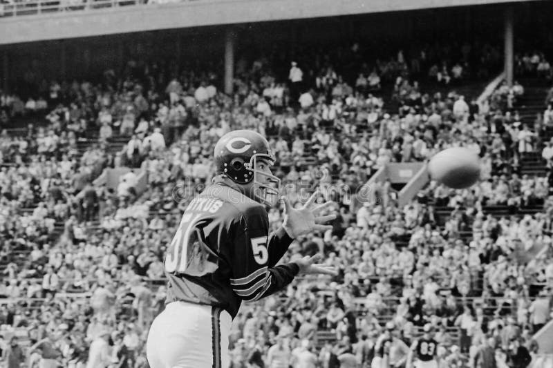 Dick Butkus, Chicago Bears imagen de archivo editorial. Imagen de ...