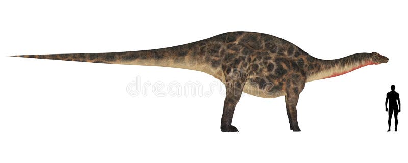 Einiosaurus Size Comparison Stock Illustration - Illustration of ...