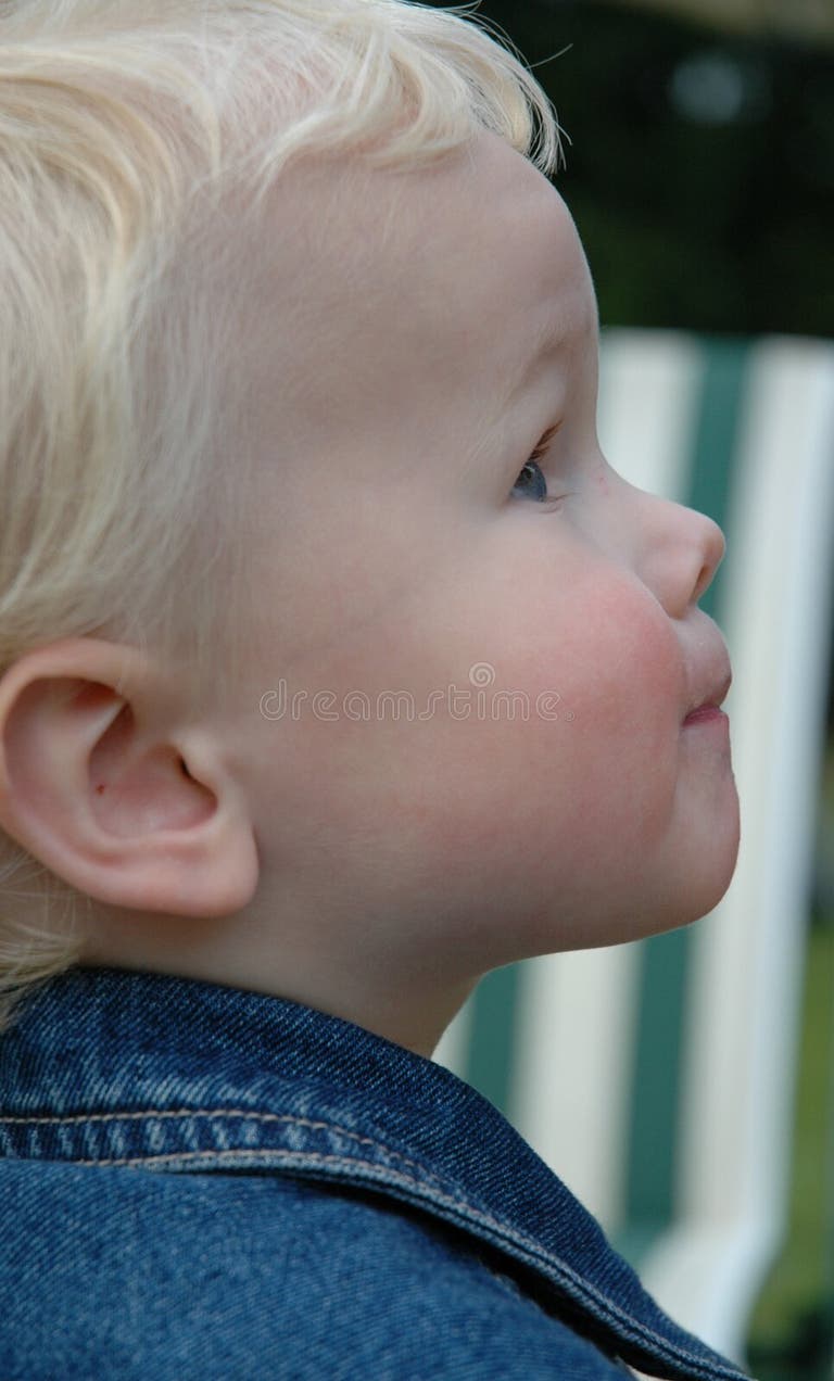 310 Why Call Campaign Stock Photos - Free & Royalty-Free Stock Photos ...