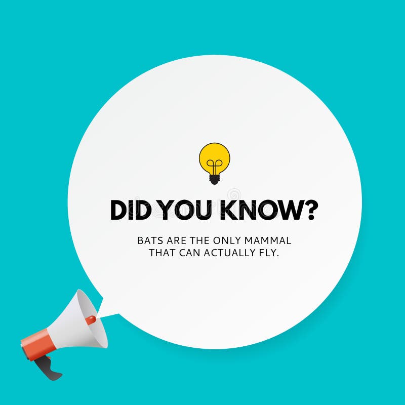 Did You Know Interesting Fact Vector Illustration Stock Illustration ... Did You Know Interesting Fact Vector Illustration Stock Illustration ...