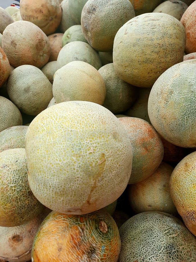 Did You Know, Melon is a Fruit that Contains Many Health Benefits ...