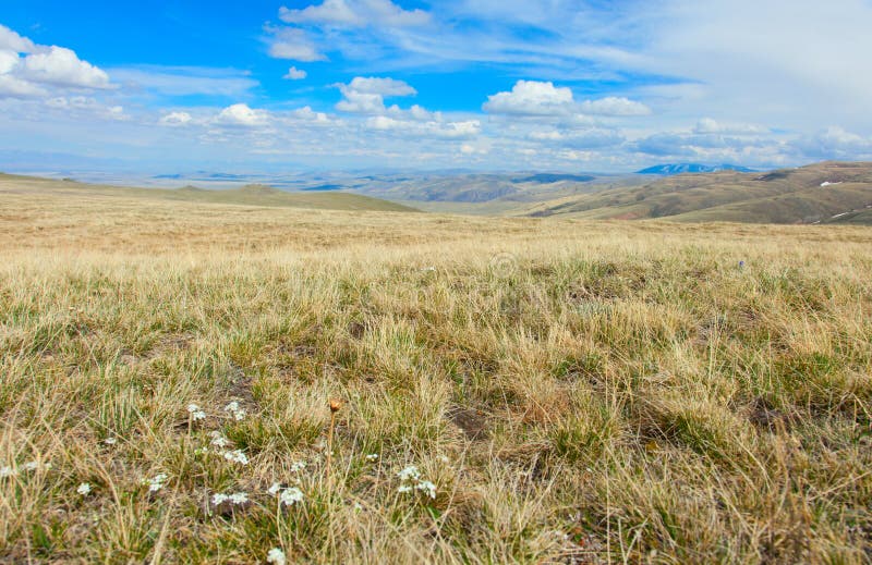 Salzsteppe stockfoto. Bild von unfruchtbar, landschaft - 17109248