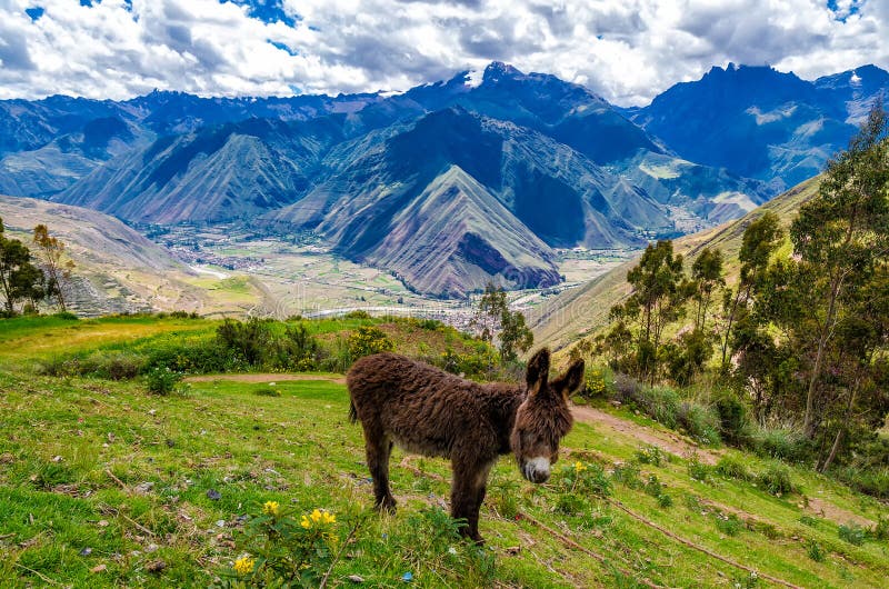 Die Anden in Peru stockbild. Bild von wolken, anden, amerika - 47214257