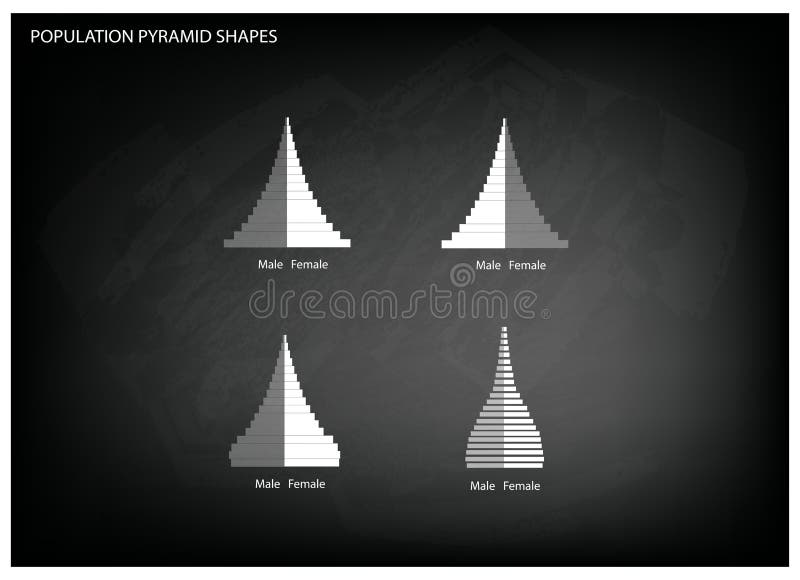 Die 4 Arten Von Alterspyramide-Diagrammen Vektor Abbildung ...