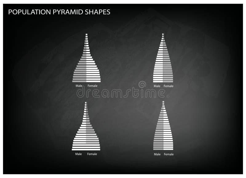 Die 4 Arten Von Alterspyramide-Diagrammen Vektor Abbildung ...