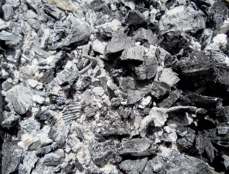 Zwei Schwarze Kohlen, Die Das Feuer Lokalisiert Auf Weiß Machen Vektor ...