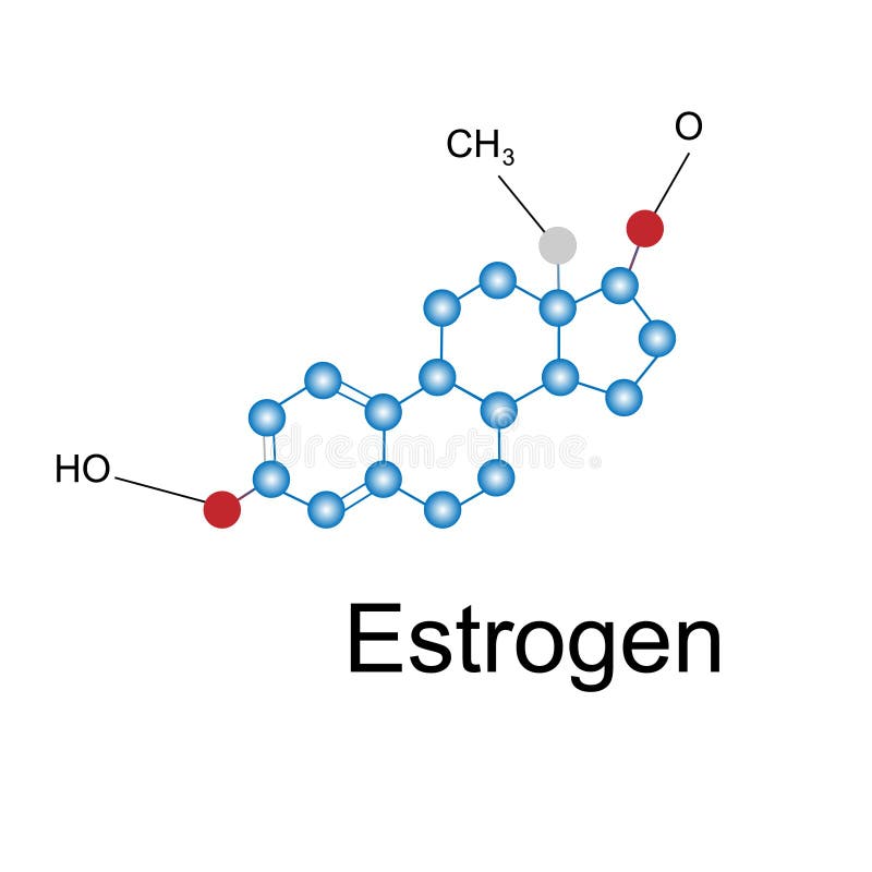 Oestrogen Chemische Strukturformel Und Modell Des Molek?ls C18H24O2 ...