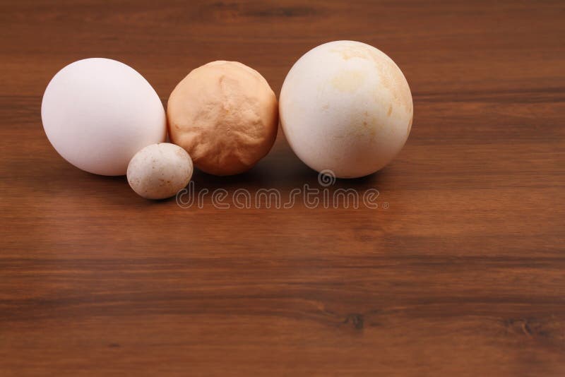 Die Inländischen Eier Gans Und Taubenei Stockbild - Bild von ...