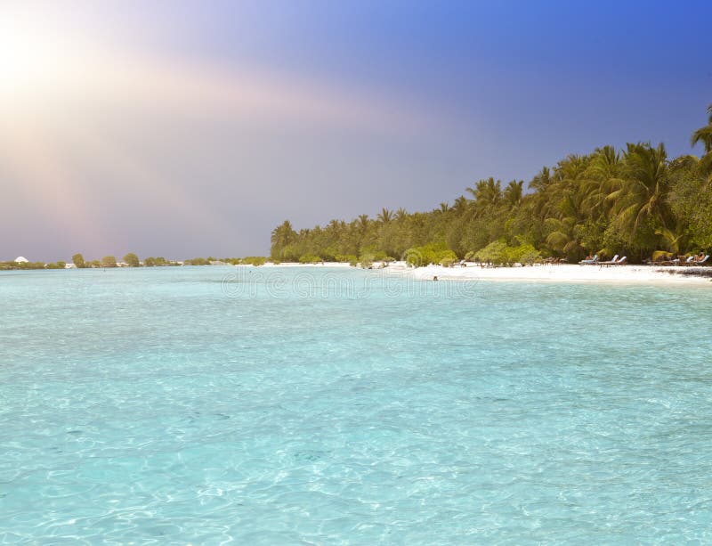 Die Insel Mit Palmen Im Ozean Stockbild - Bild von entspannung, ozean ...