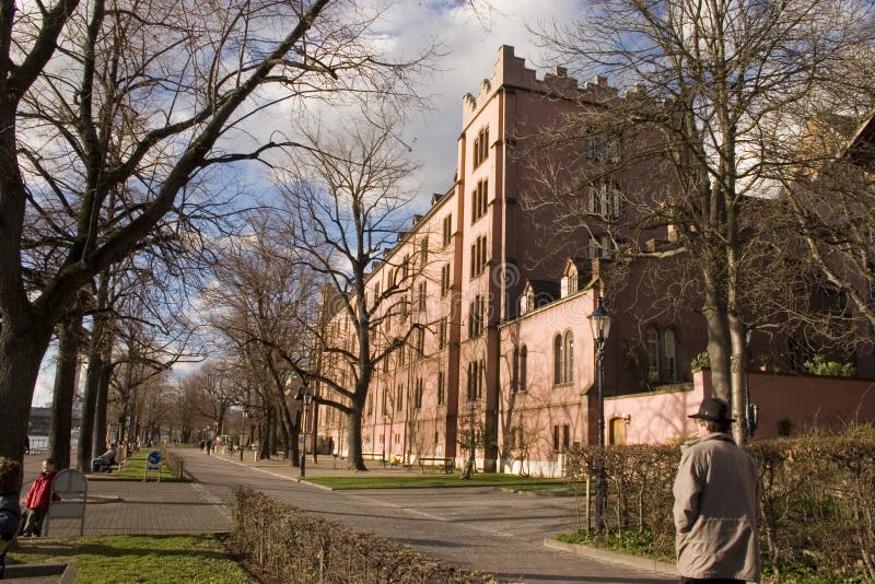 Four Lions stock photo. Image of mother, animal, child - 4694990