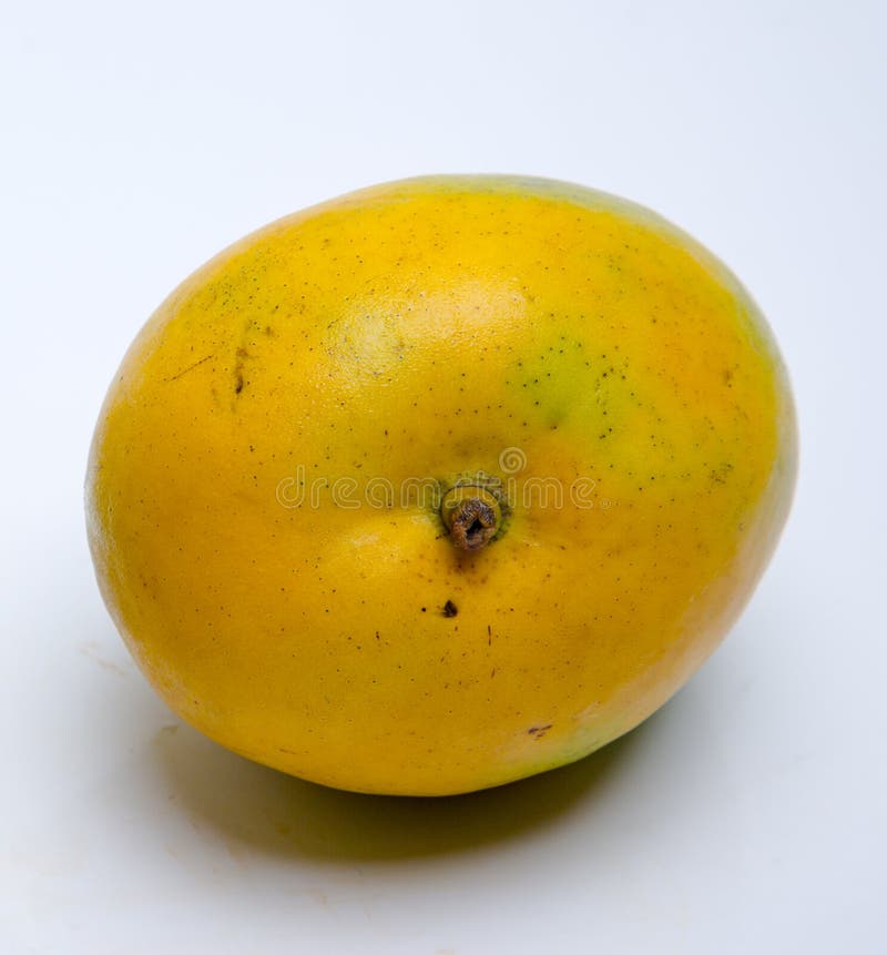 DIE MANGO IST EINE TROPISCHE FRUCHT Stockbild - Bild von wachstum ...
