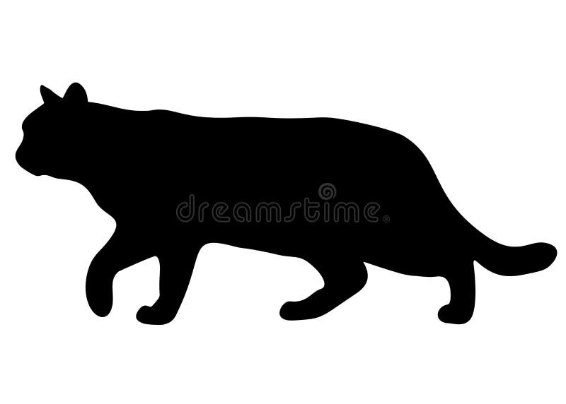 Die Schwarze Katze Schleichen. Vektor Abbildung - Illustration von ...