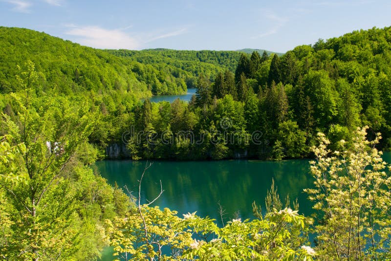 Die Seen im Wald stockbild. Bild von schutz, park, seen - 25362525