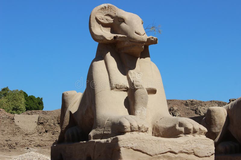 Die Sphinx am Eingang Zum Karnak-Tempel Stockfoto - Bild von sphinx ...