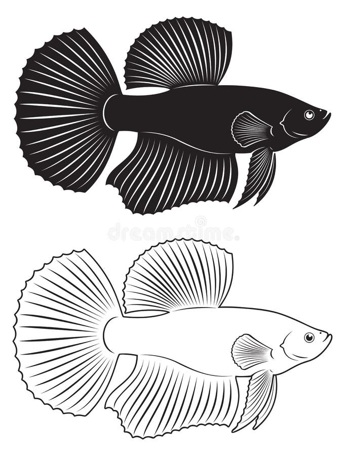 Hahnfisch vektor abbildung. Illustration von hähnchen - 29844346