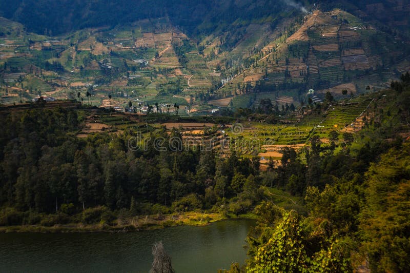 Dieng plateau stock photo. Image of nature, palms, country - 195530178