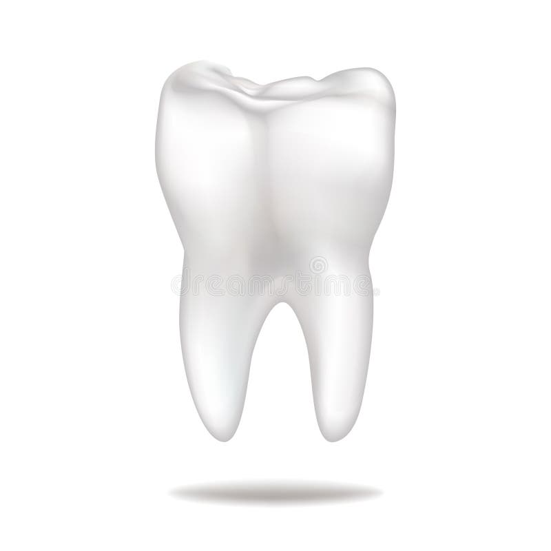 Línea Vector Del Diente Del Icono Ilustración del Vector - Ilustración ...