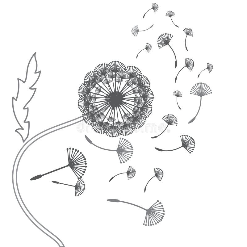 Diente De León Del Concepto Vector Ilustración del Vector - Ilustración ...