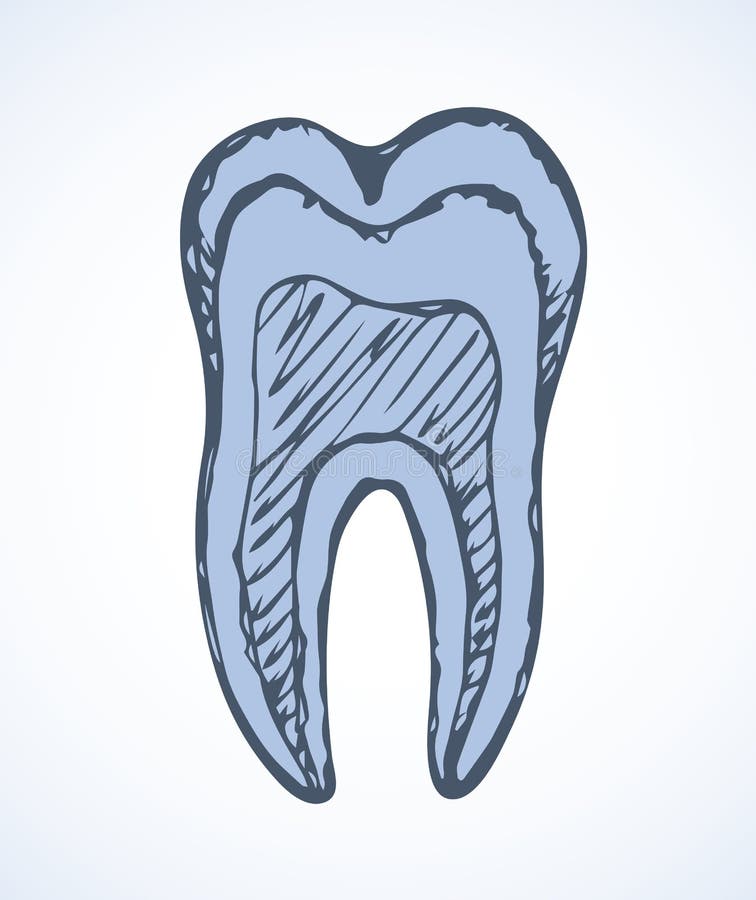 Diente Gráfico del vector ilustración del vector. Ilustración de vector ...