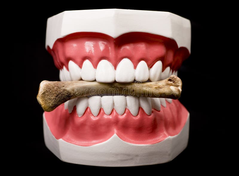 Dientes y hueso imagen de archivo. Imagen de hueso, esqueleto - 7939189