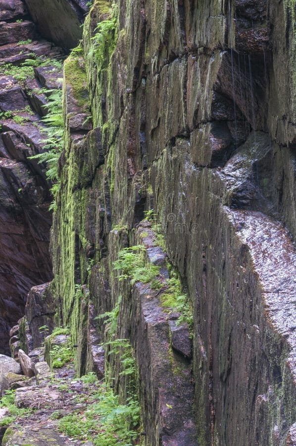 Diep, nat ravijn stock afbeelding. Image of ravijn, park - 122954123