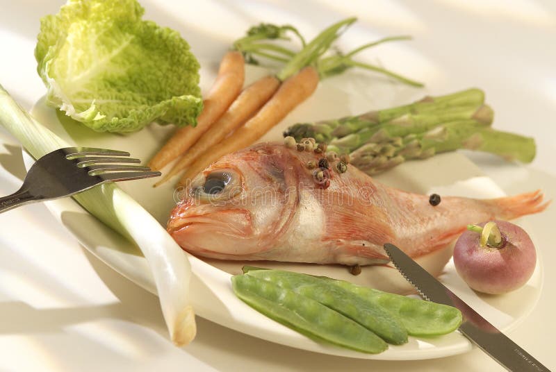 Diet fish dish stock image. Image of vegetable, selection - 23704229