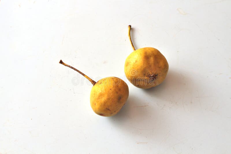 Two pears stock photo. Image of pears, breakfast, food - 132484438