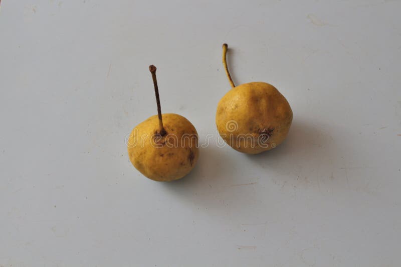 Two pears stock photo. Image of pears, diet, breakfast - 132484520