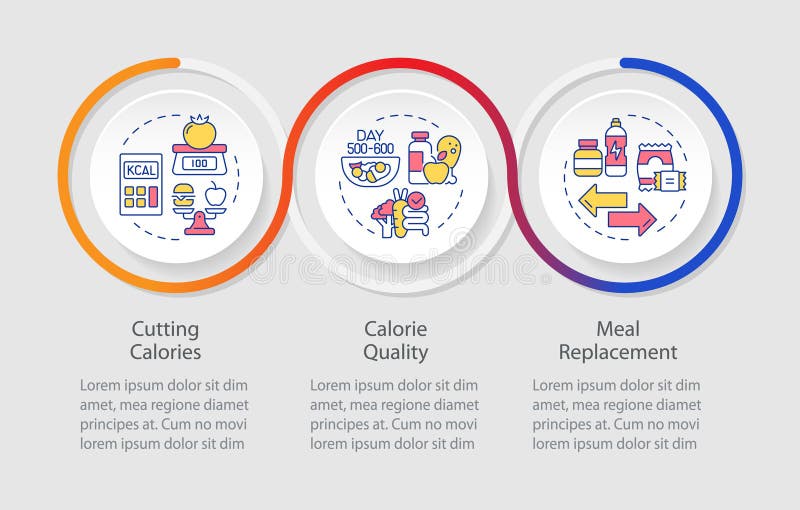 Diet Organization Infographics Circles Sequence Stock Illustration ...
