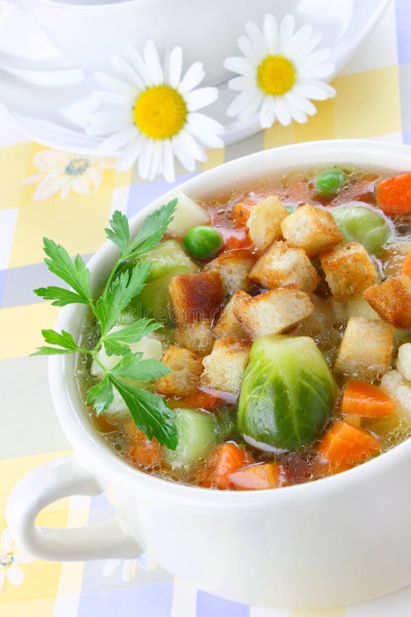 Diet vegetable soup stock image. Image of fresh, cabbage - 25367845