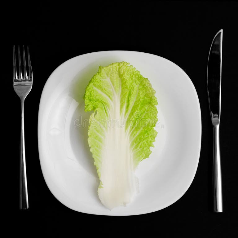 Dieting. stock photo. Image of lifestyle, plate, human - 5132078