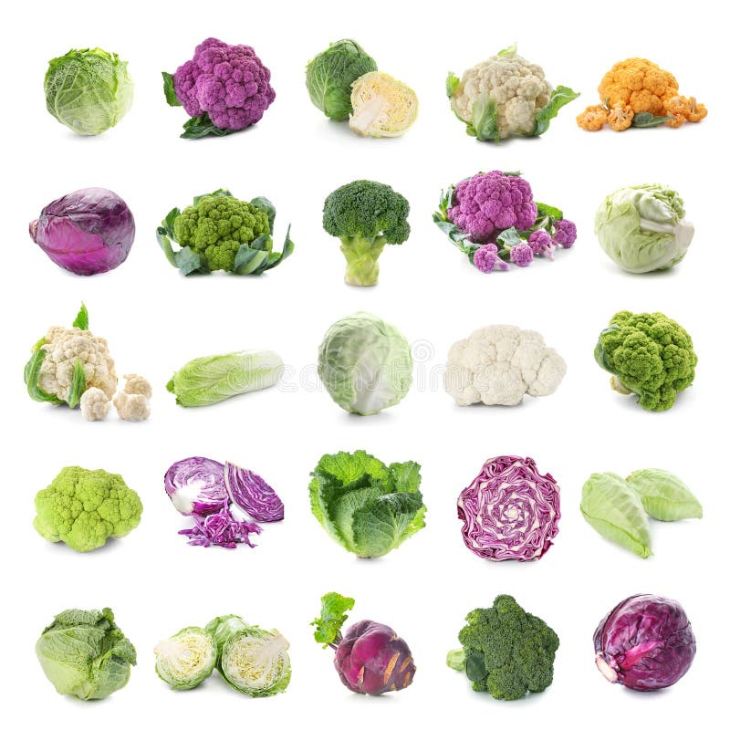 Diferentes Tipos De Col En El Fondo Blanco Foto de archivo - Imagen de ...