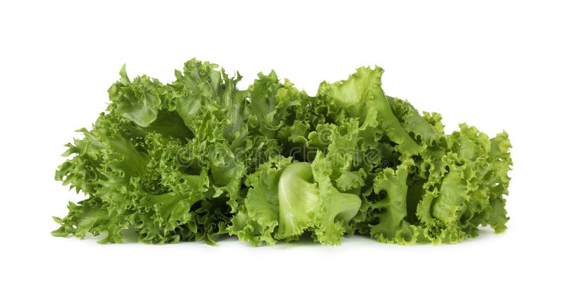 Diferentes Tipos De Lechuga Sobre Fondo Blanco Imagen de archivo ...