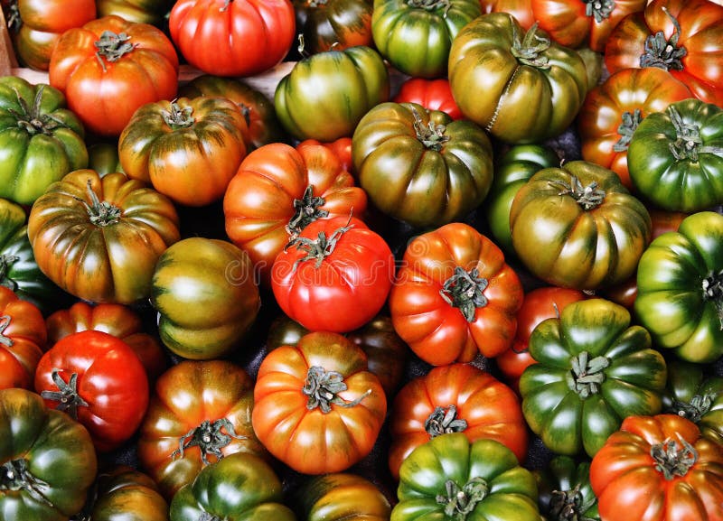 Diferentes Tipos De Tomates En El Mercado Foto de archivo - Imagen de ...