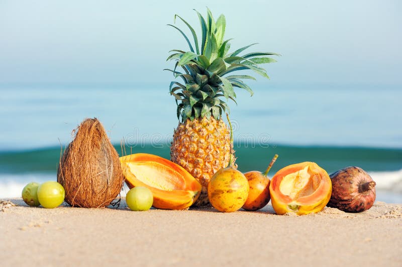 Fruits sur le sable photo stock. Image du compartiment - 22813500