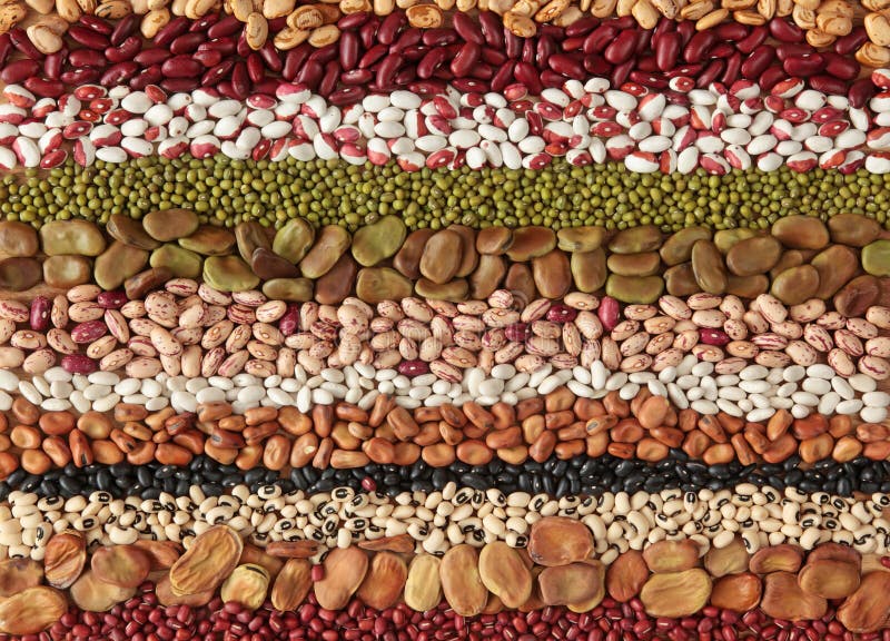 Différents haricots photo stock. Image du graine, divers - 23289432