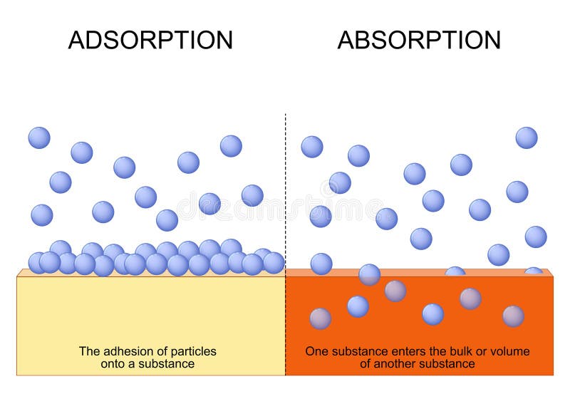 Difference between Adsorption and Absorption Stock Vector ...
