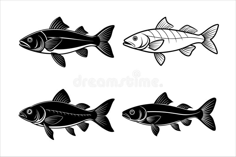 4 Difference Barbel Fish in Vector Stock Vector - Illustration of catch ...