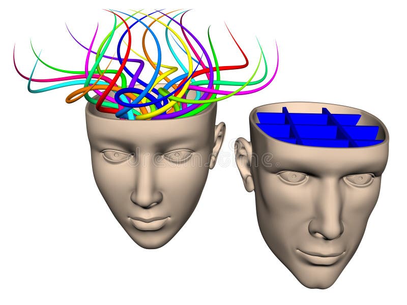 Female Brain Memes 96 Woman Brain Funny Stock Photos, High Res