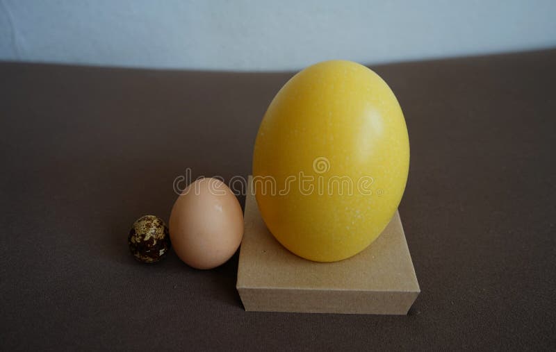 Difference between eggs stock photo. Image of natural - 149494940