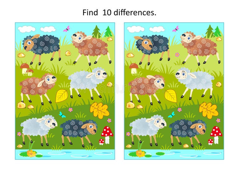 Difference Game with Sheep Grazing at the Pasture Stock Photo ...