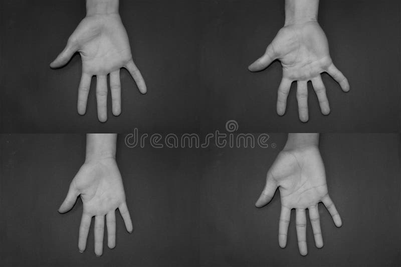 Difference in hands stock photo. Image of difference - 63504584