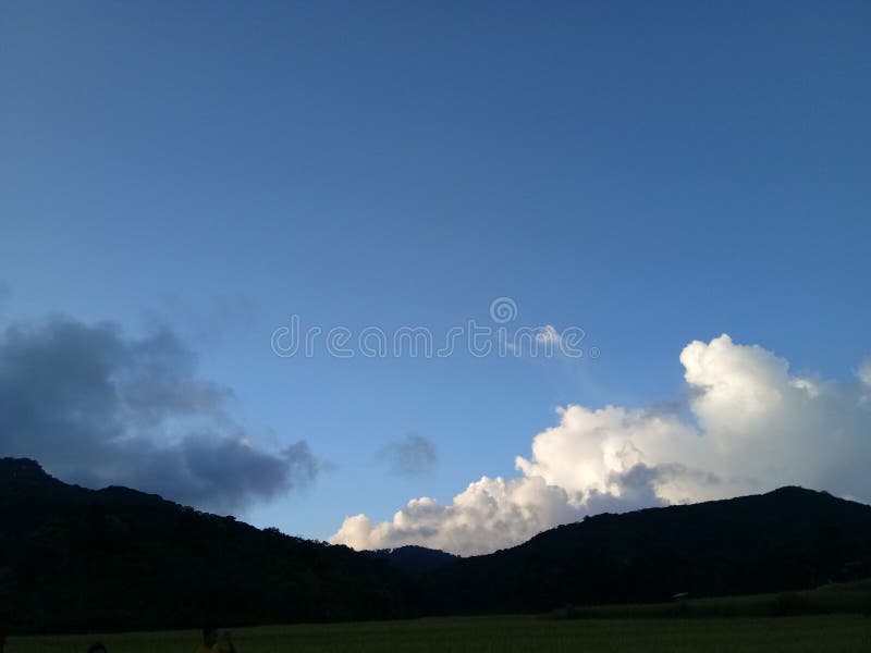 The difference is perfect. stock photo. Image of perfect - 115519422