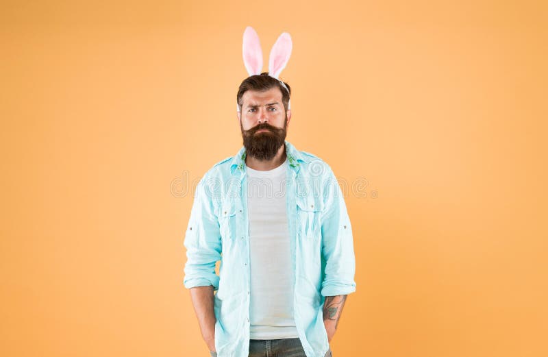 Difference between Rabbits and Hares. Male Rabbit Personality Traits ...