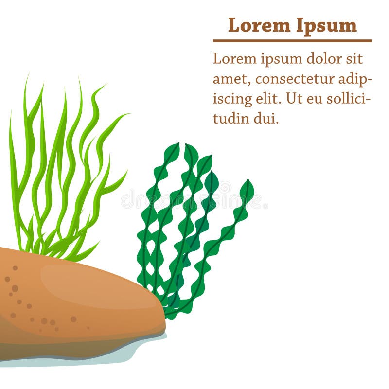 Different Algae Cartoon Illustration Stock Vector - Illustration of ...